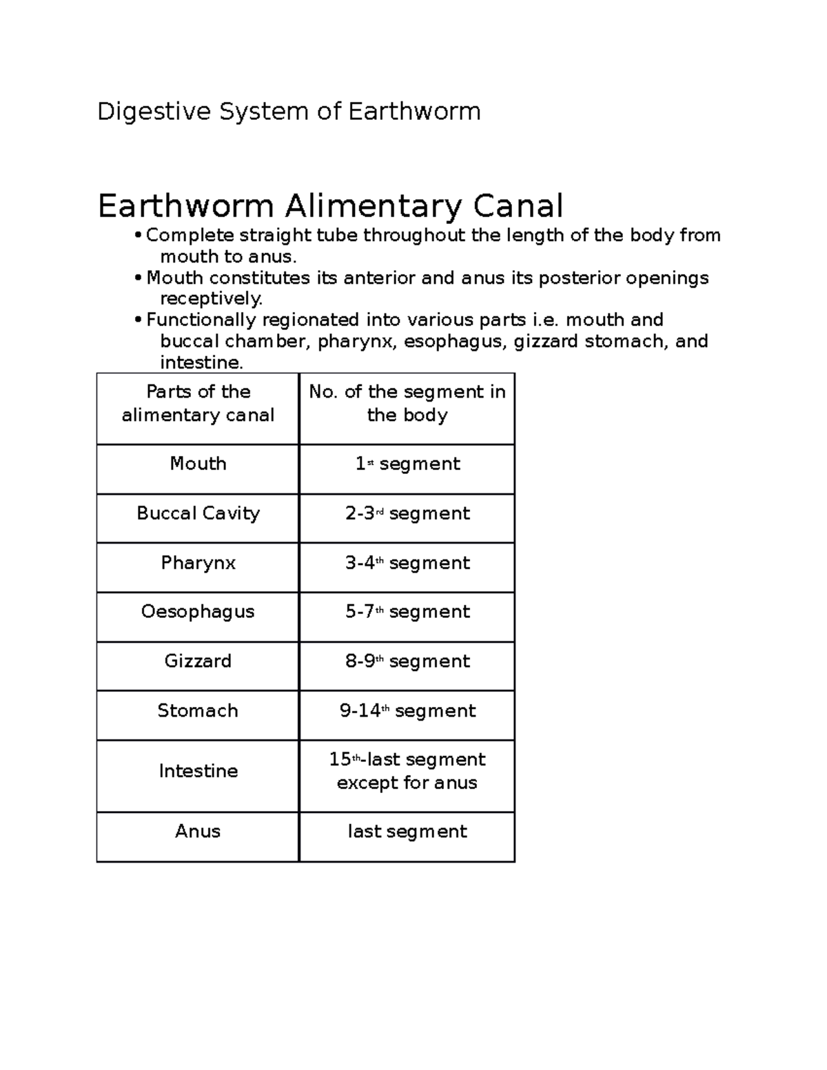 Digestive System of Earthworm - Digestive System of Earthworm Earthworm ...