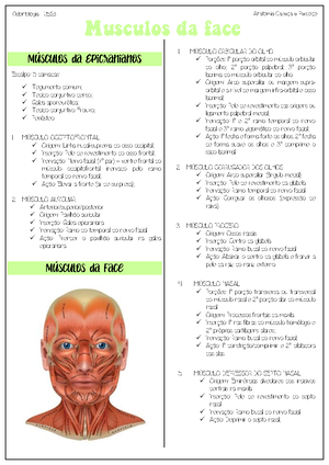 Questoes Anatomia - ATIVIDADE OSTEOLOGIA DO CR¬NIO 1- O crânio constitui o esqueleto da face e ...