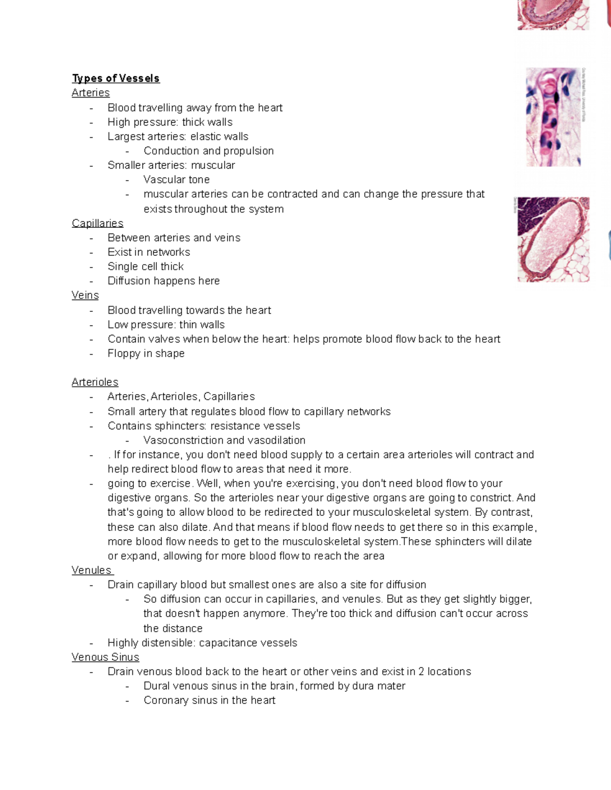 Week 12 The Heart - Anatomy notes - Types of Vessels Arteries - Blood ...