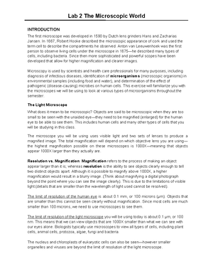 Lab3 Report Simple Stain and Gram Stain - Lab 3 Simple Stain and Gram ...