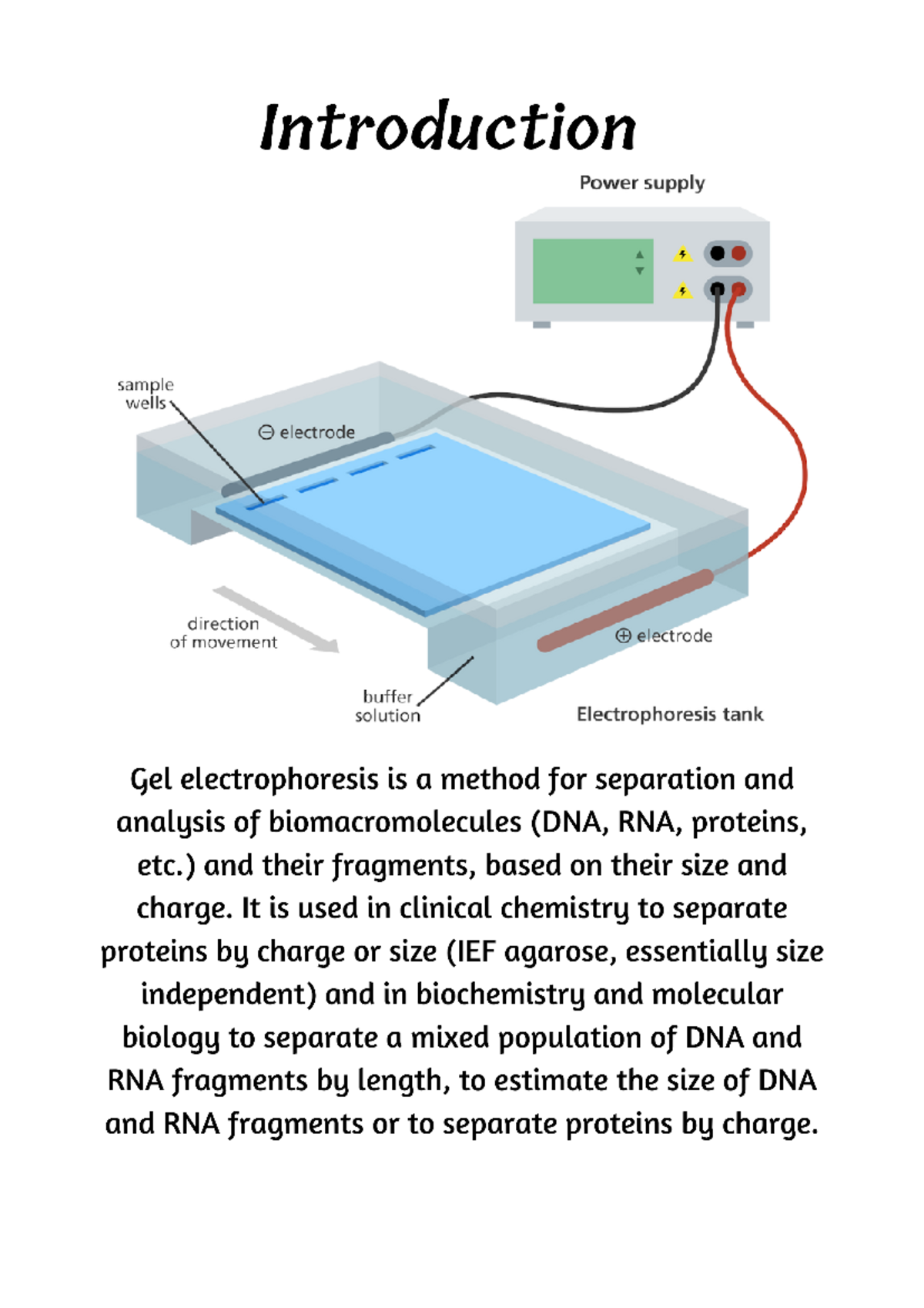 Agarose Gel Electrophoresis - Medical Biotechnology - Studocu