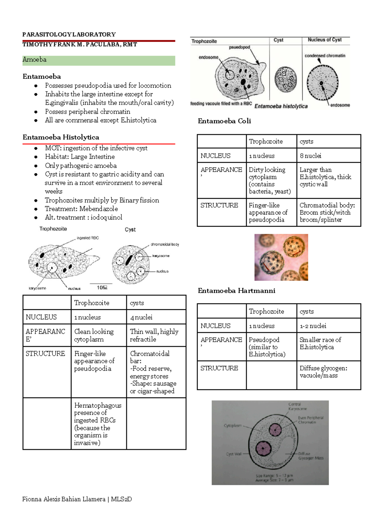 PARA LAB Amoeba(SIR TIM) - PARASITOLOGY LABORATORY TIMOTHY FRANK M ...