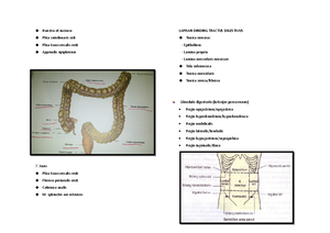 Catatan gastro entero hepatologi 1 3 - 1 | M A G D A B U D I P R A M I ...