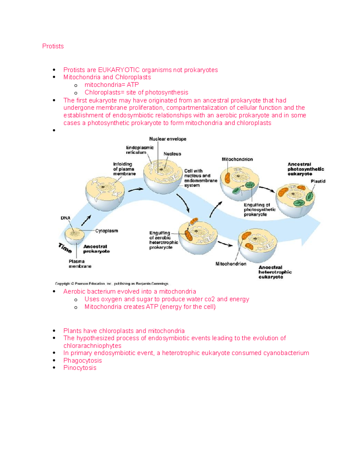 Biology- protists information and easy to follow - Protists Protists ...