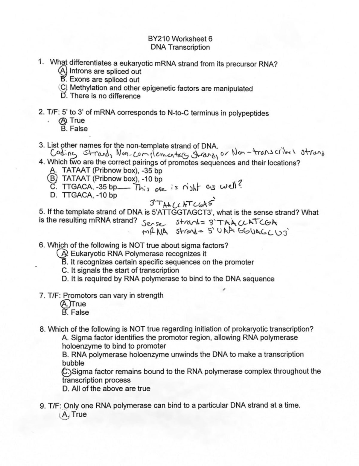 BY 210 Worksheet 6 - BY 210 - Studocu