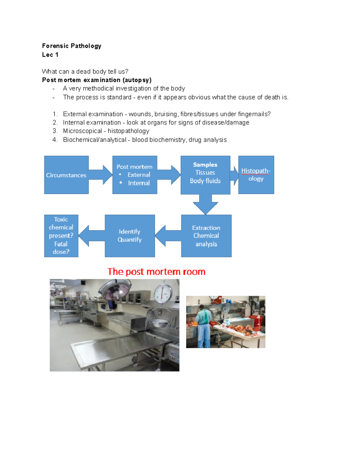 Copy of CRJU211 Forensic Pathology - Forensic Pathology Lec 1 What can ...