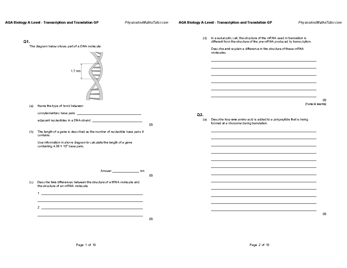 Transcription and Translation QP - Q1. The diagram below shows part of ...