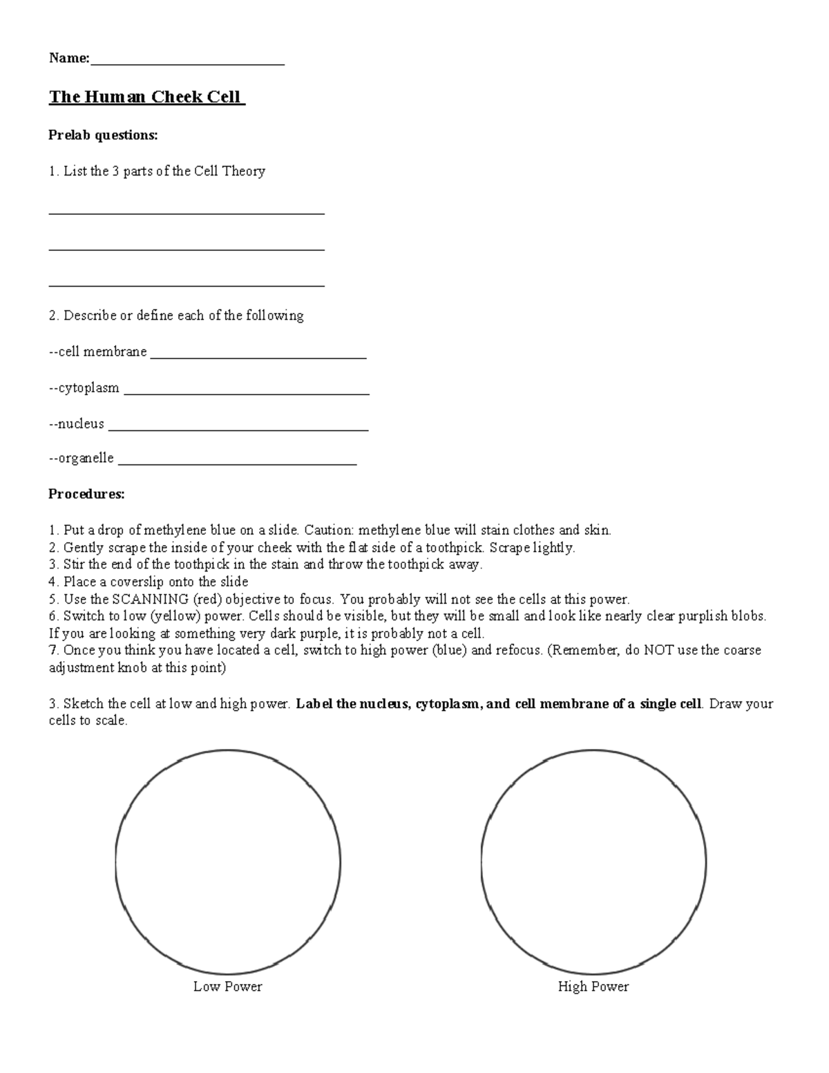 Cheek and onion cell lab - Name:__________________________ The Human ...