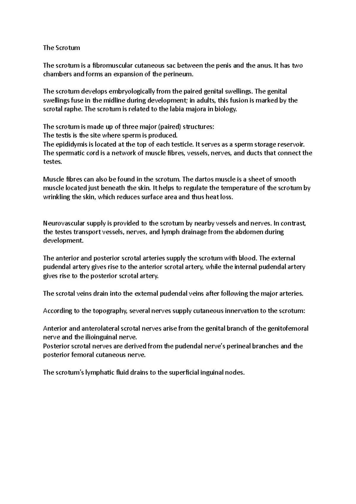 The Scrotum - Anatomy notes - The Scrotum The scrotum is a ...