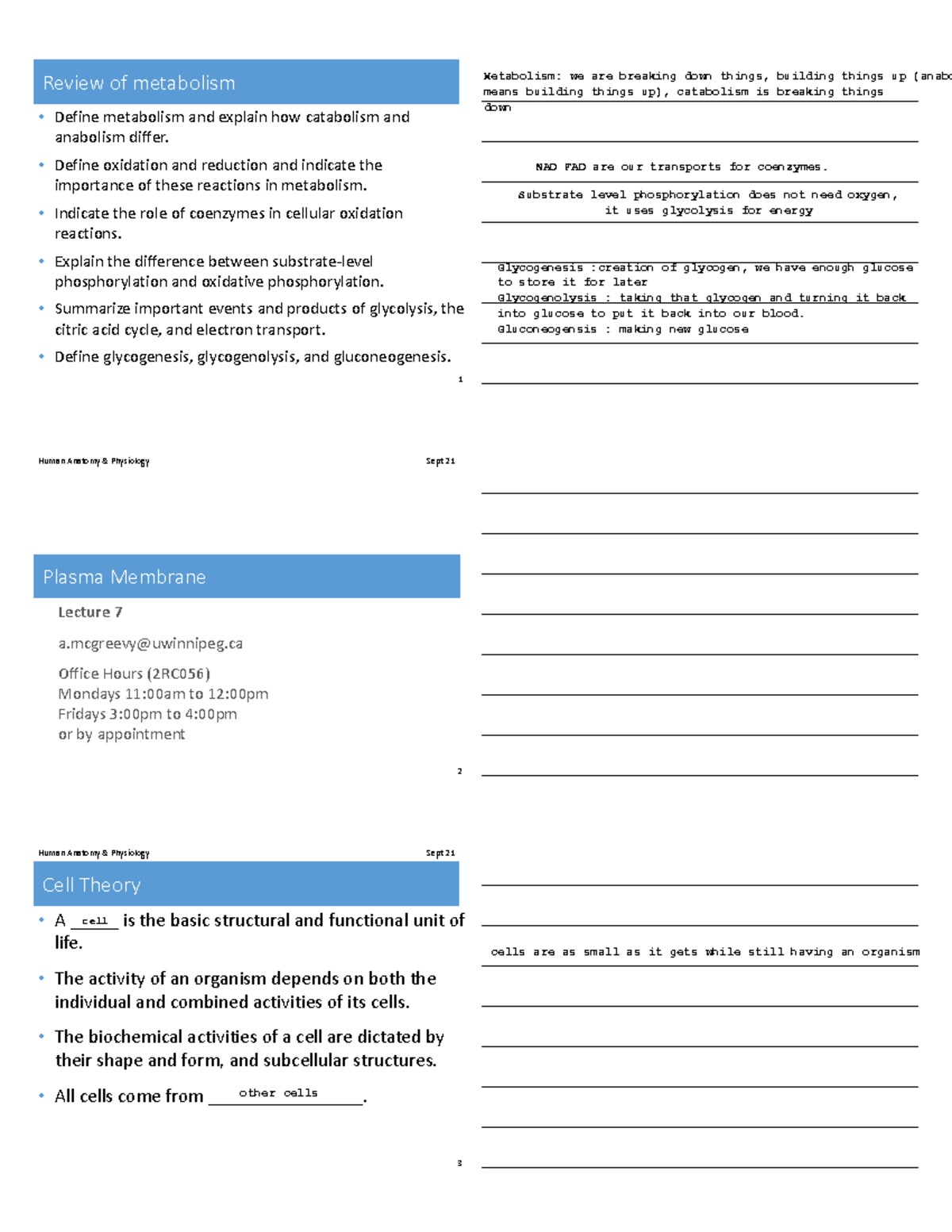 Lecture 7 - Sept 21 - Plasma Membrane - Notes - Review of metabolism ...