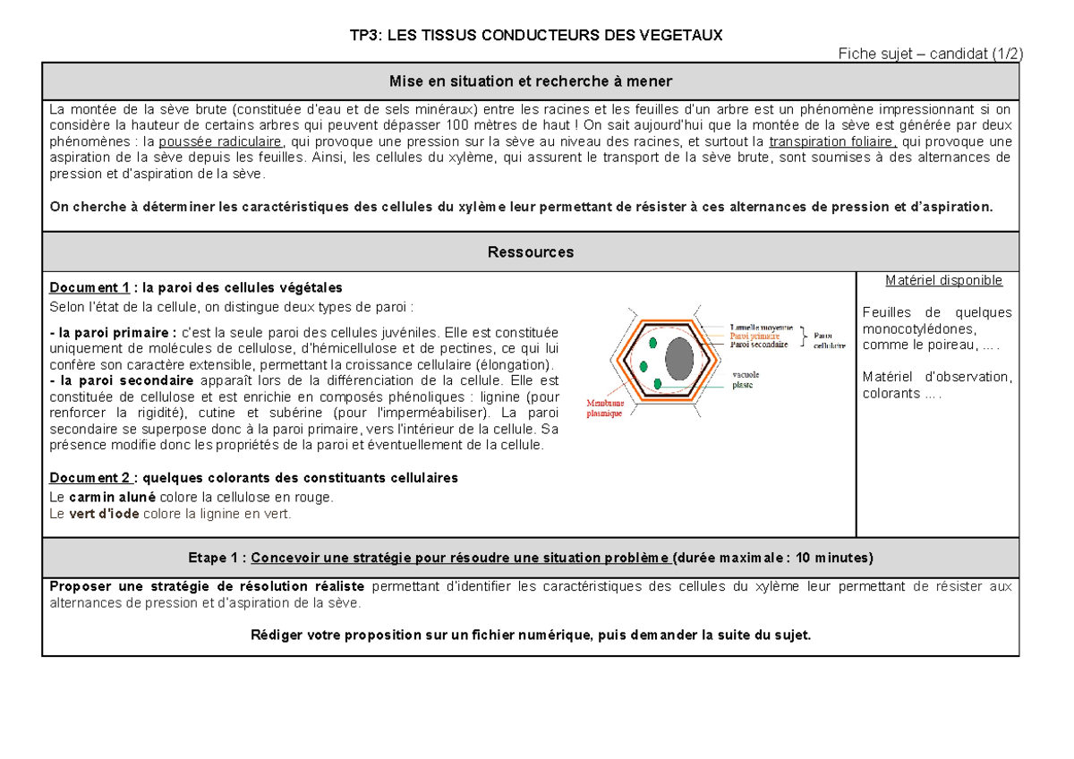 TP3 tissus-conducteurs ECE TS6 correction - Fiche sujet – candidat (1/2) Mise en situation et ...