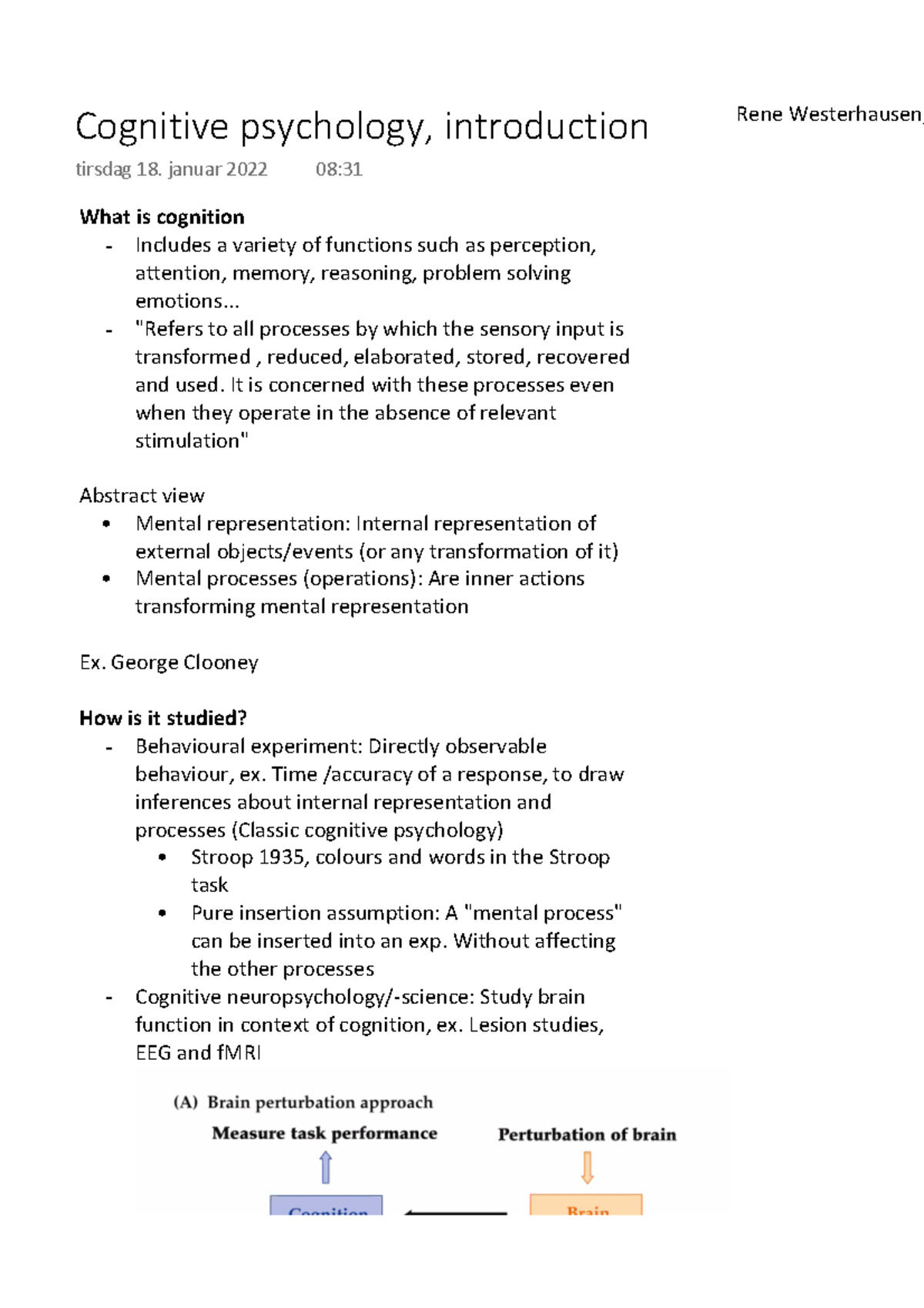 Cognitive psychology, introduction - Rene Westerhausen, What is ...