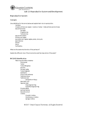 BIO 211L RS Lab Week 7 Respiratory And Lymphatic - Lab 7: Respiratory ...