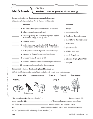 [1405]Unit 1- Cell biology summary notes - Cell Biology Summary Notes 2 ...