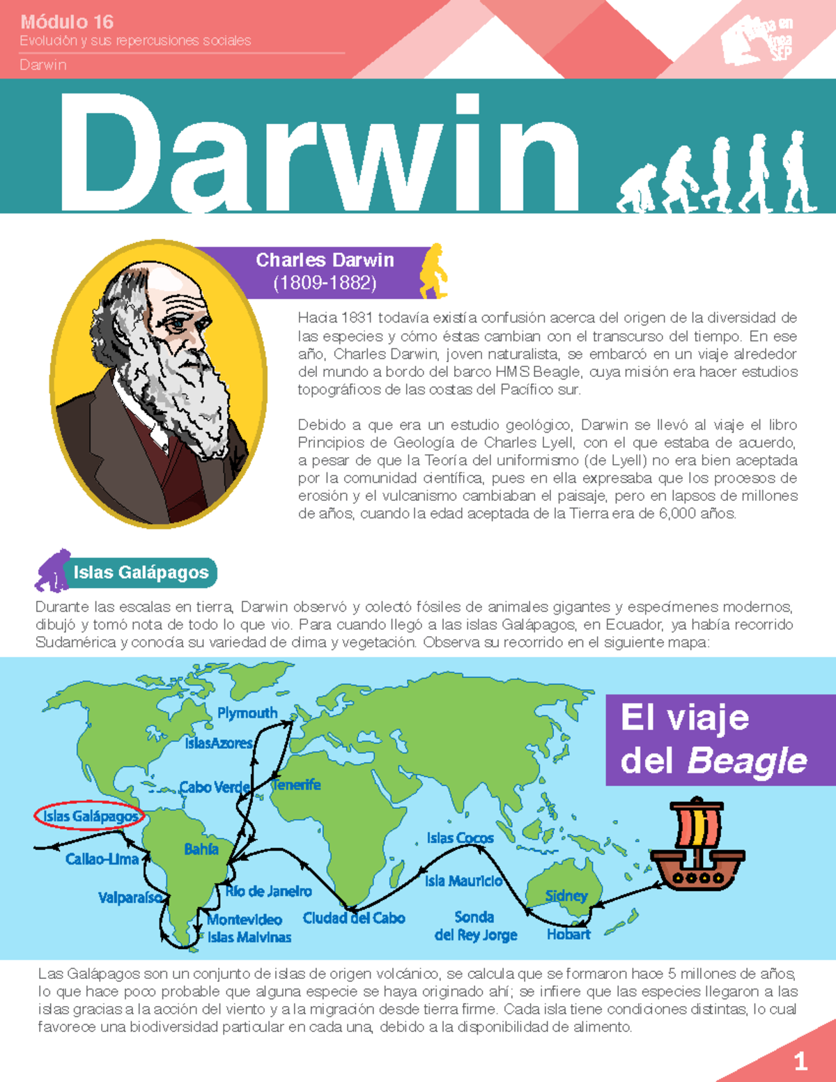 M16 S1 Darwin PDF - apuntes, anotaciones, ejercicios y formulas que ...