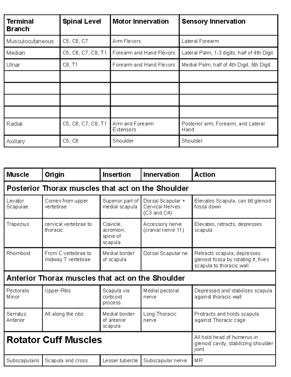 Anatomy muscle summary table - Terminal Branch Spinal Level Motor ...