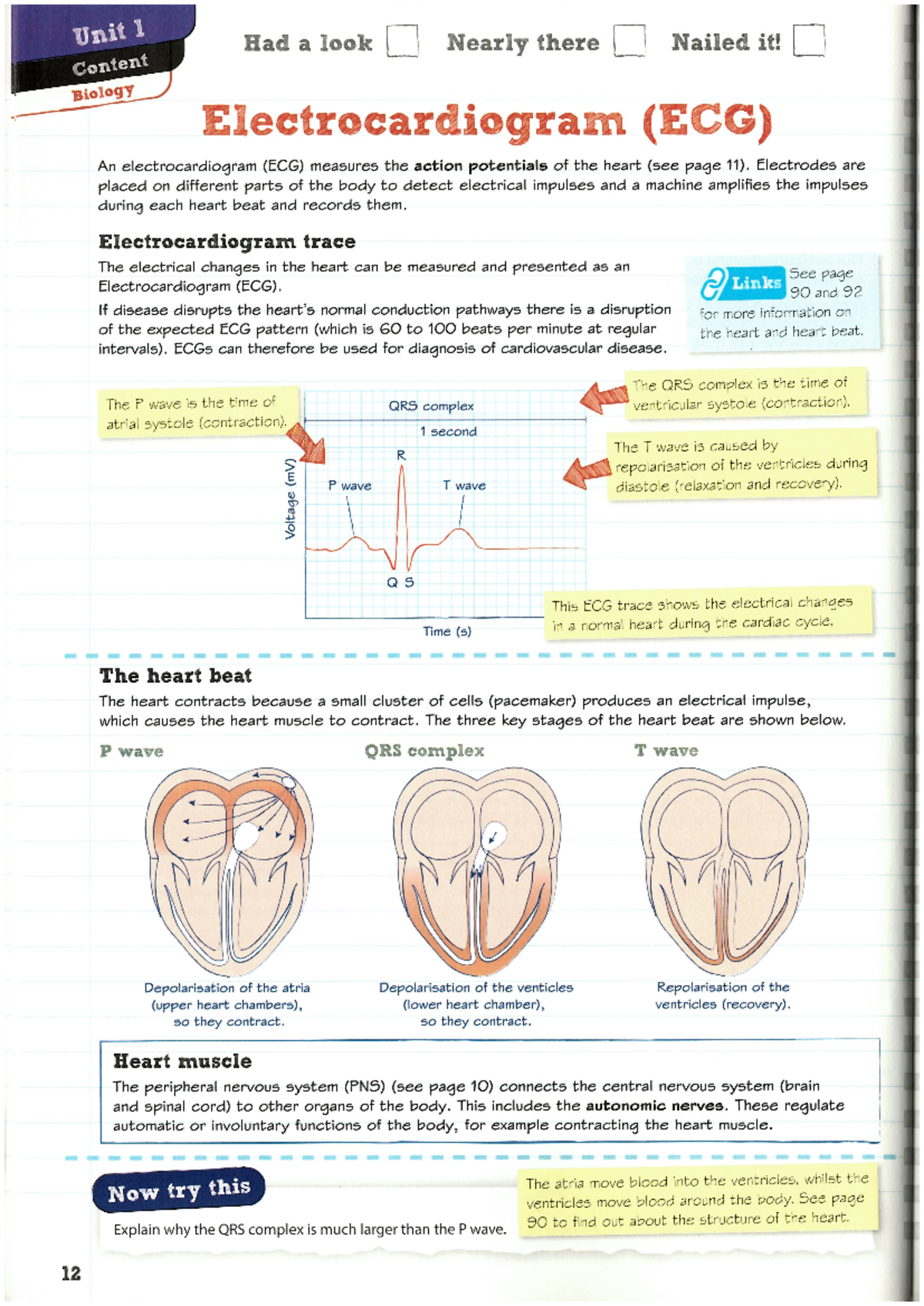 ECG - about the heart - EAM1120 - Studocu