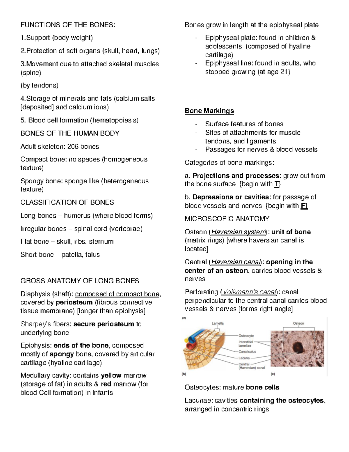 Skeletal-system - A note for skeletal system - FUNCTIONS OF THE BONES ...