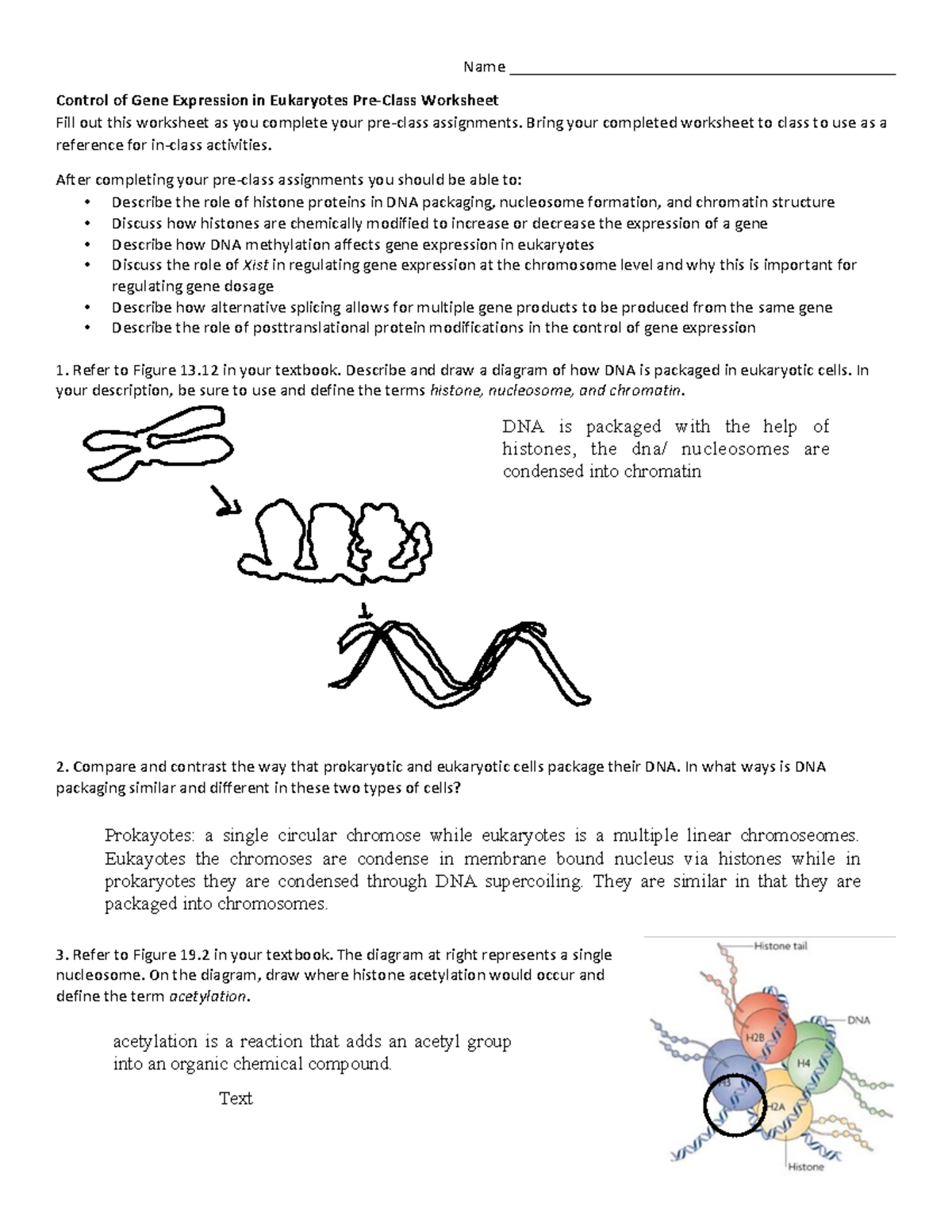 Week 7b Eukaryotic Gene Expression Reading Guide - Name - Studocu