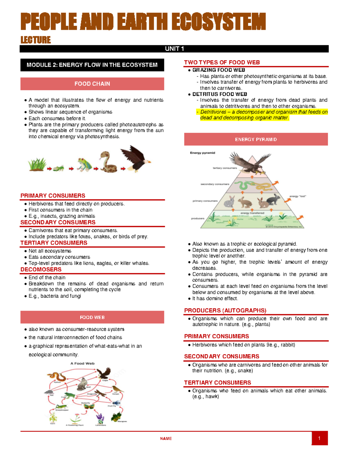 Energy FLOW - NAME 1 PEOPLE AND EARTH ECOSYSTEM LECTURE UNIT 1 MODULE 2 ...