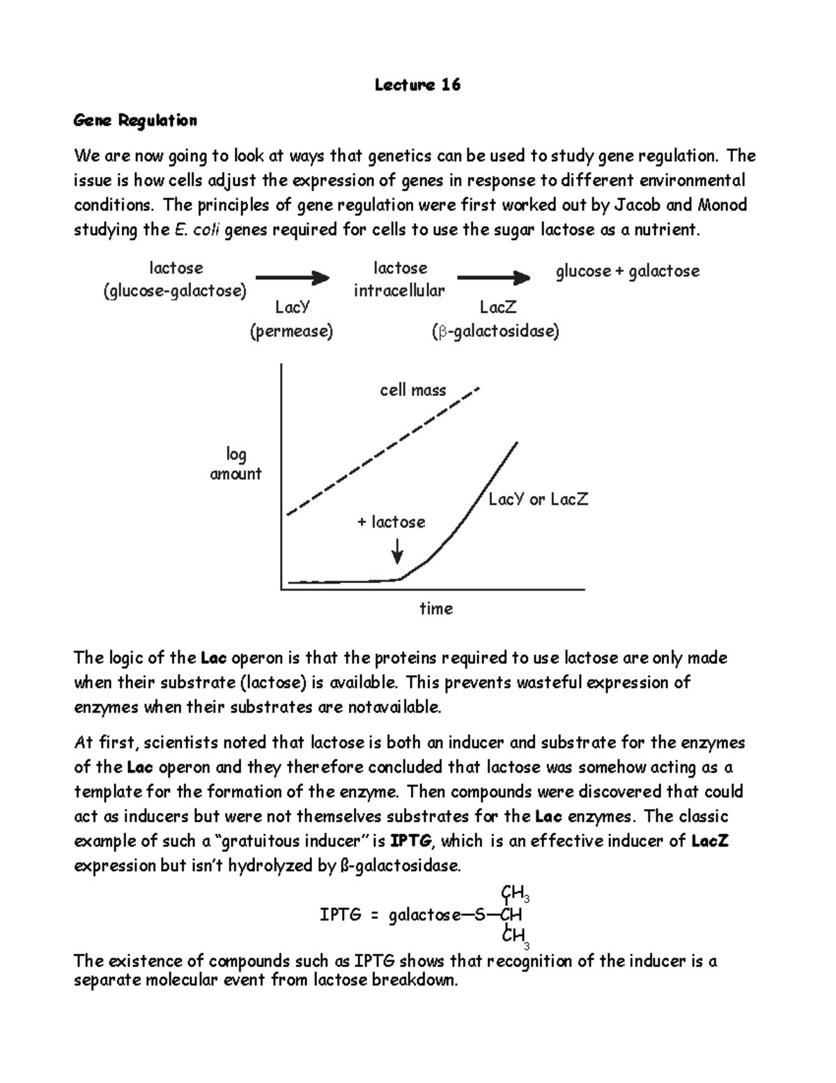 Prokaryotic Regulation Negative Control - Lecture 16 Gene Regulation We ...
