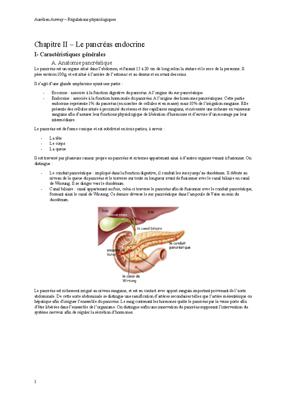 Chapitre II – Le pancréas endocrine - Anatomie pancréatique Le pancréas ...