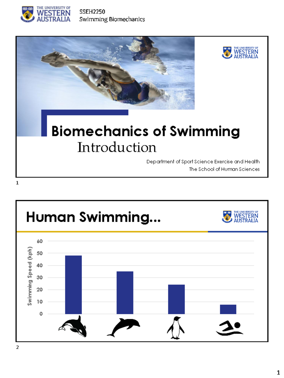 SSEH2250 Swimming Biomechanics Final Note - Biomechanics of Swimming ...