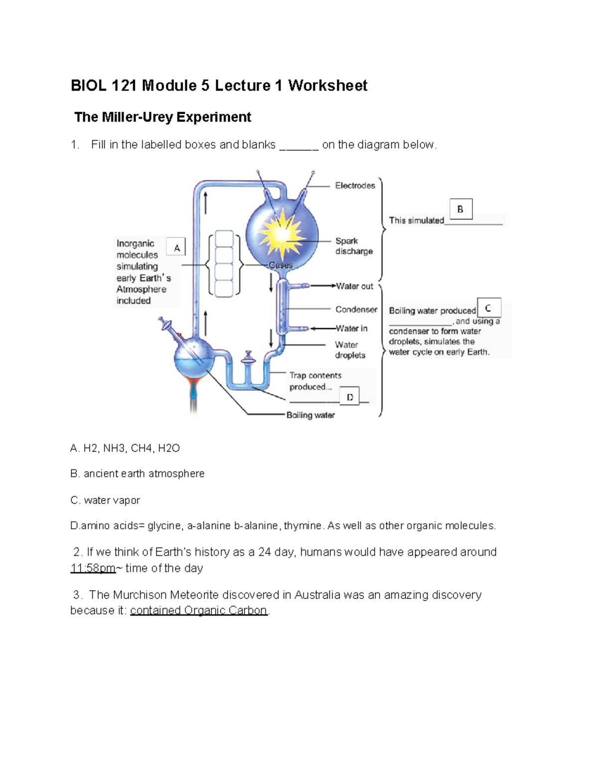 BIOL 121 Module 5 Lecture 1 Worksheet - BIOL 121 Module 5 Lecture 1 ...