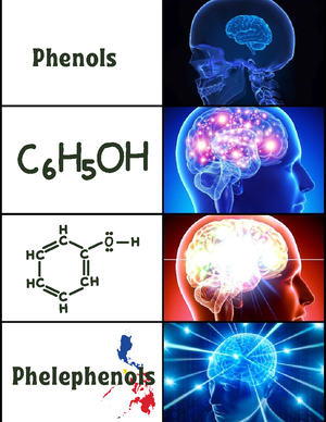 Remorin Hannah MAE F PRPI Worksheet 6 - Hannah Mae F. Remorin BS PHARMA ...