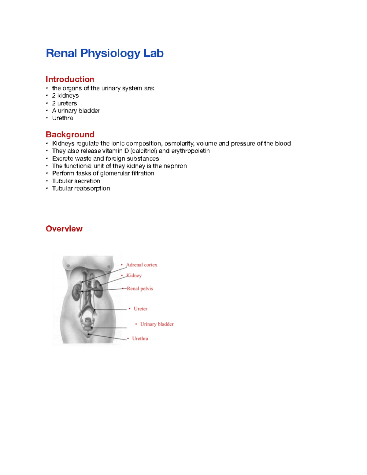Kidney Experiment - Lab Test - Renal Physiology Lab Introduction the ...