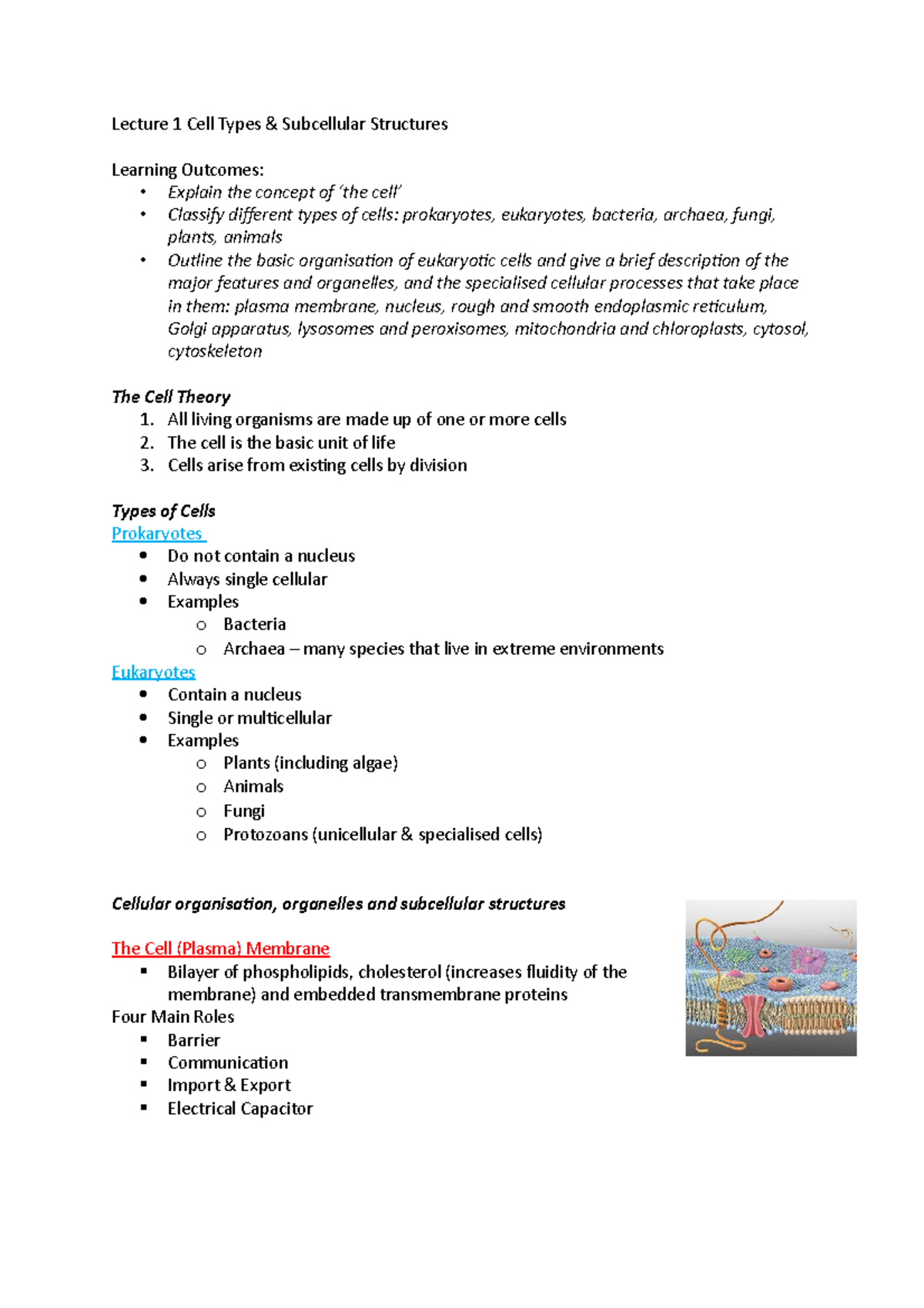 Lecture 1 Cell Types - Lecture 1 Cell Types & Subcellular Structures Learning Outcomes: - - Studocu