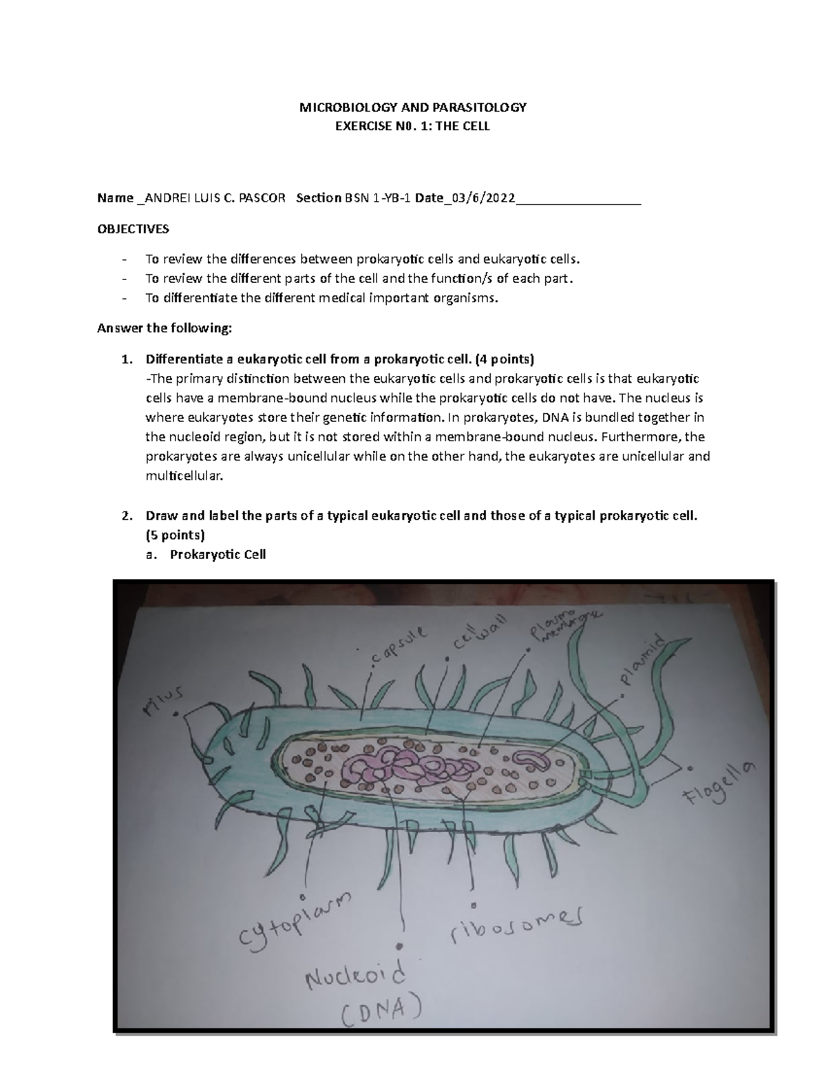 Exercise 1 THE CELL Microbiology AND Parasitology- Pascor, Andrei ...