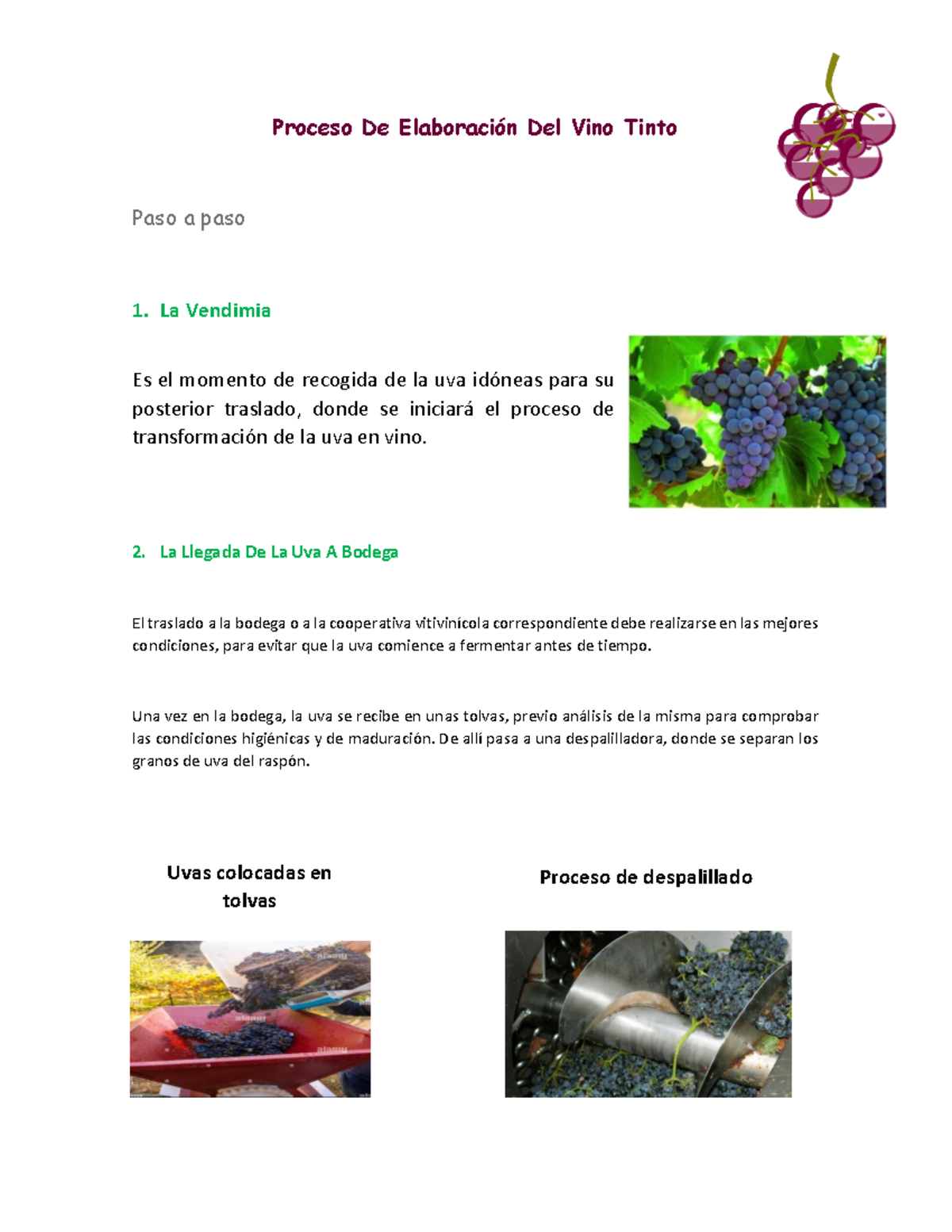 Proceso De Elaboración Del Vino Tinto - La Vendimia Es el momento de ...