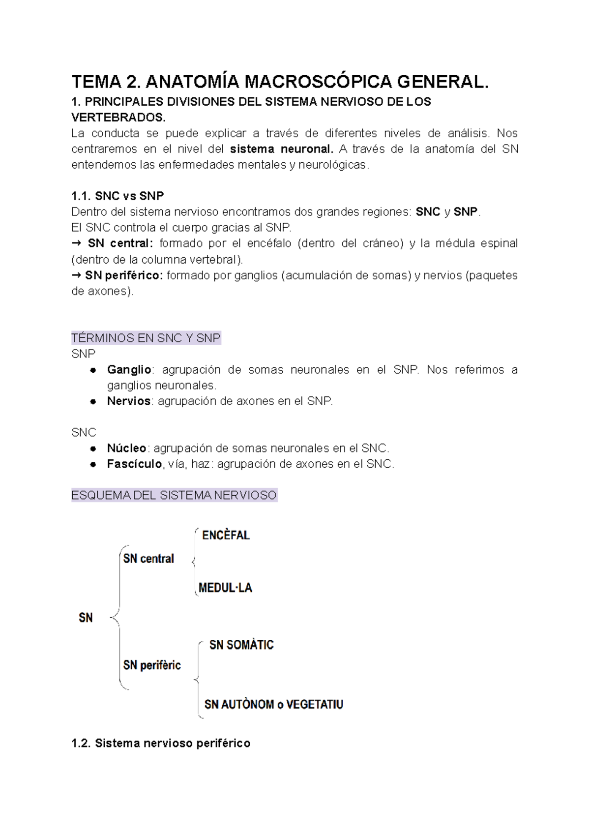TEMA 2. Anatomía Macroscópica General - TEMA 2. ANATOMÍA MACROSCÓPICA GENERAL. 1. PRINCIPALES ...