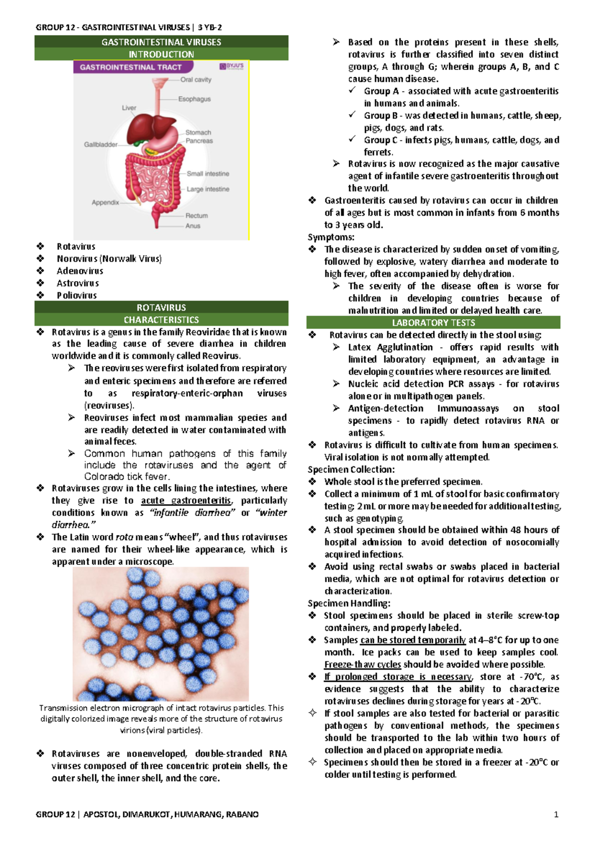 Gastrointestinal- Viruses Handout - GASTROINTESTINAL VIRUSES ...