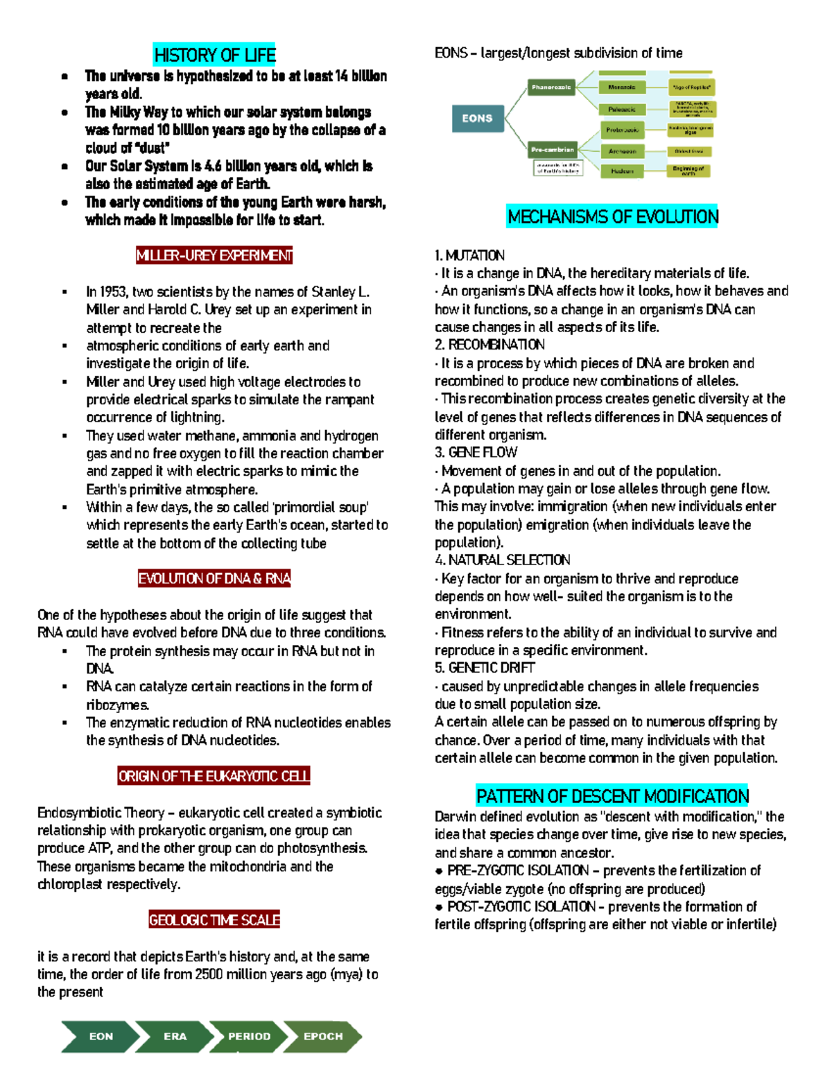 Biology - HISTORY OF LIFE MILLER-UREY EXPERIMENT In 1953, two ...