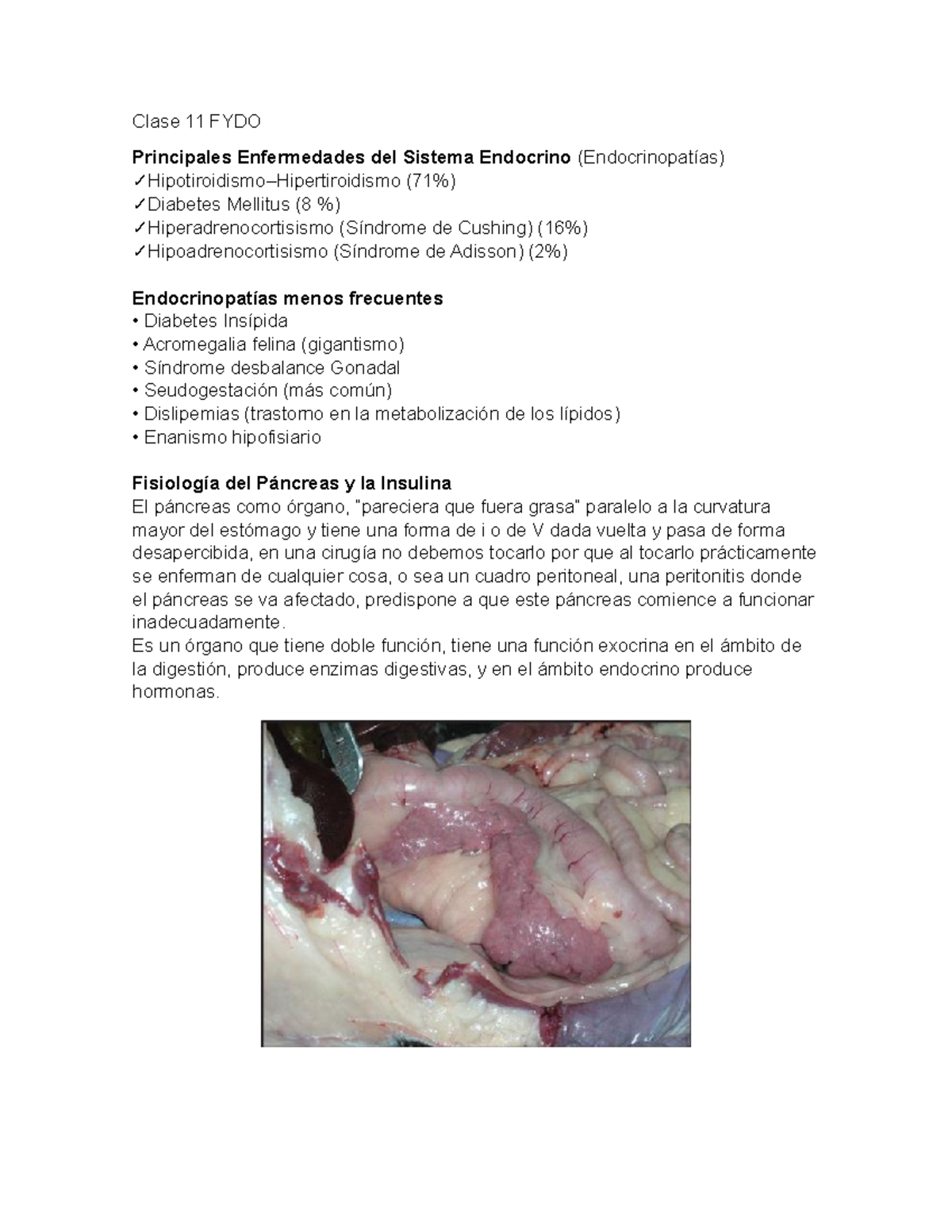 Clase 11 FYDO - fydo 1 - Clase 11 FYDO Principales Enfermedades del ...