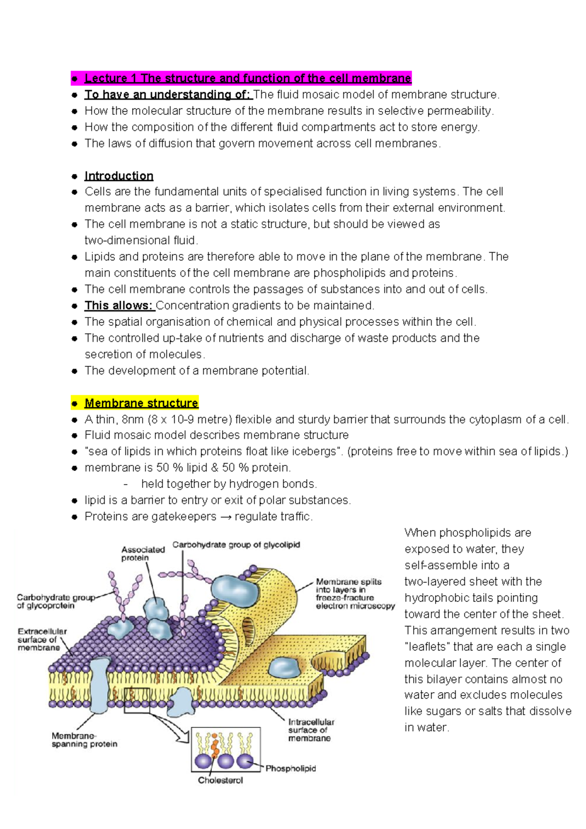 Cell processes Biosci 107 - Lecture 1 The structure and function of the ...