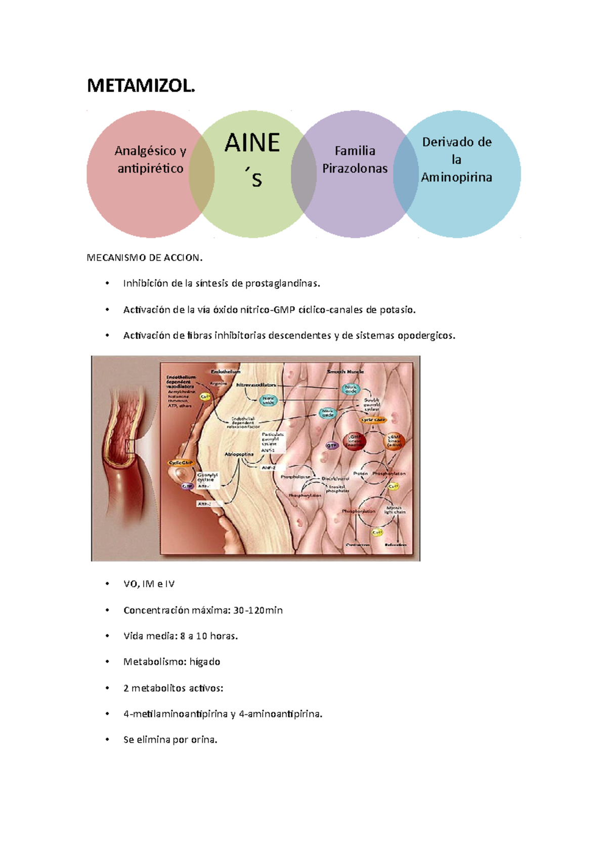 Metamizol - METAMIZOL. Analgésico y antipirético AINE ´s Familia ...
