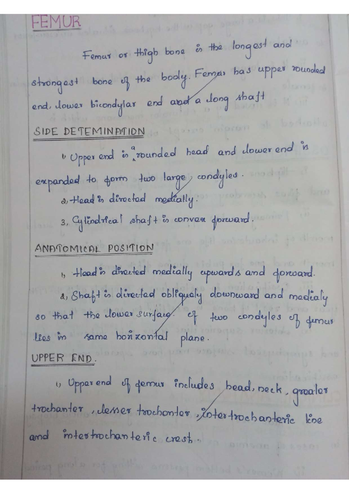 Femur - Medicine - Studocu