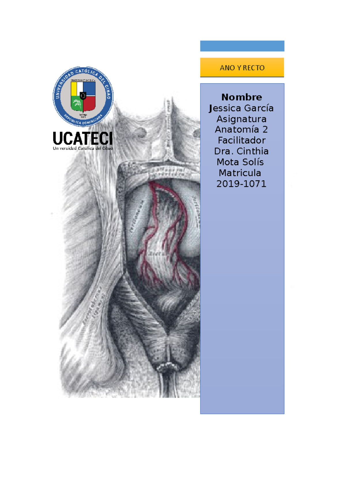 anatomía del recto irrigación e inervación - Nombre J essica García ...