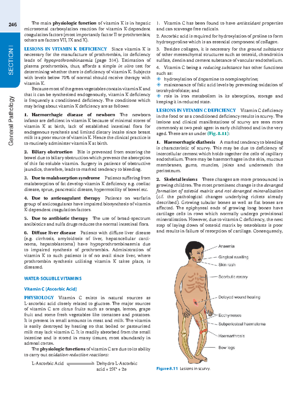Harsh Mohan Textbook of Pathology, 7th edition-30 - 246 General ...