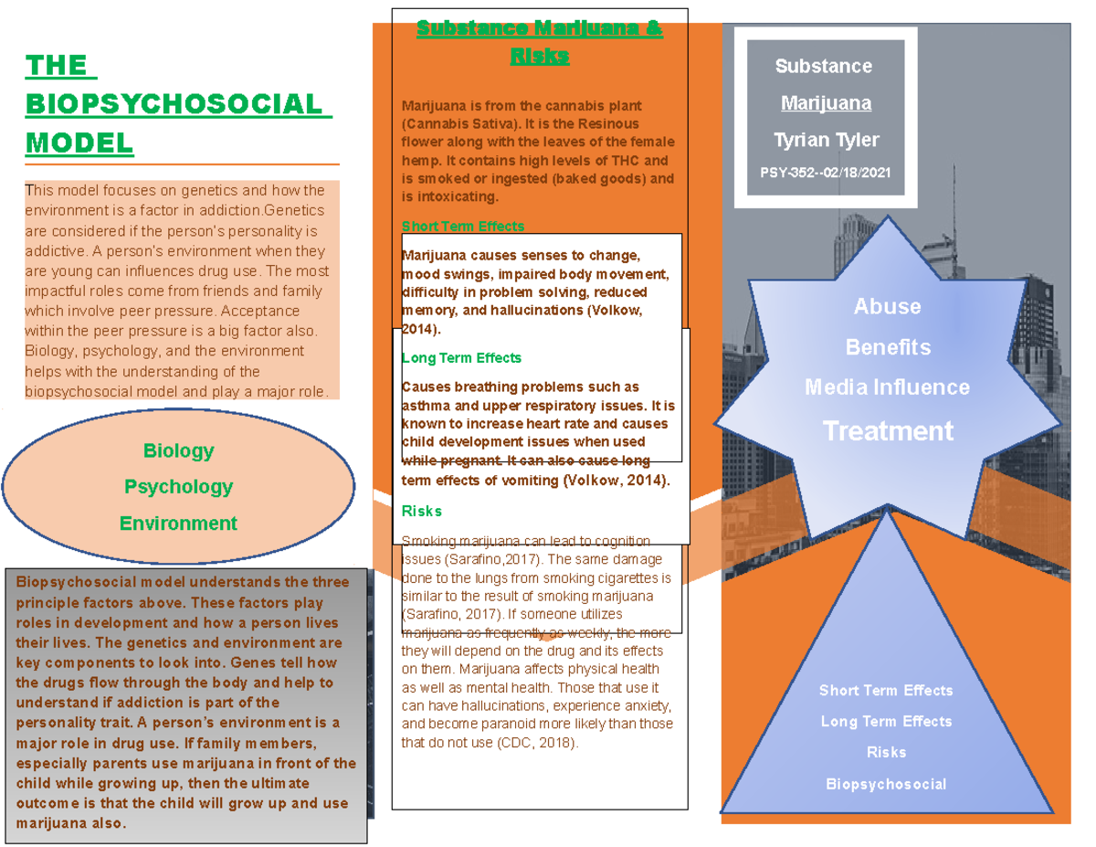 PSY 352 Topic 6-Substance Abuse 2 - THE BIOPSYCHOSOCIAL MODEL This ...