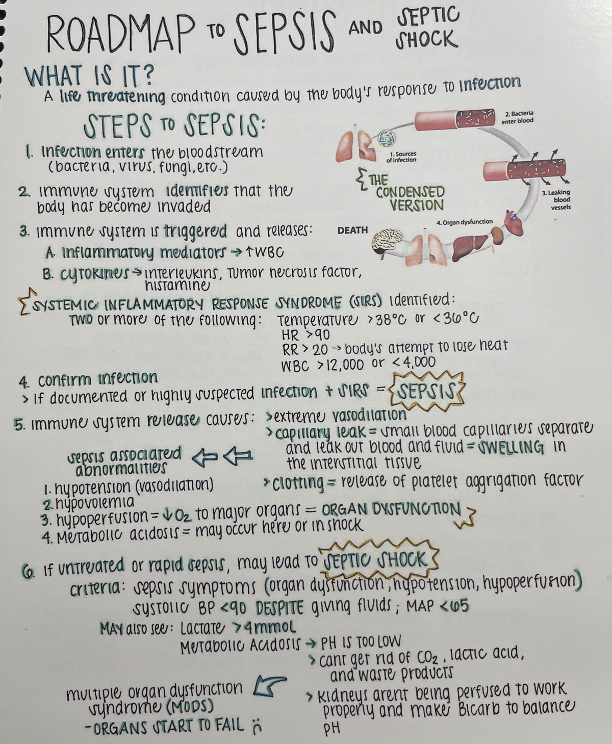 Sepsis roadmap - NUR 202 - Studocu