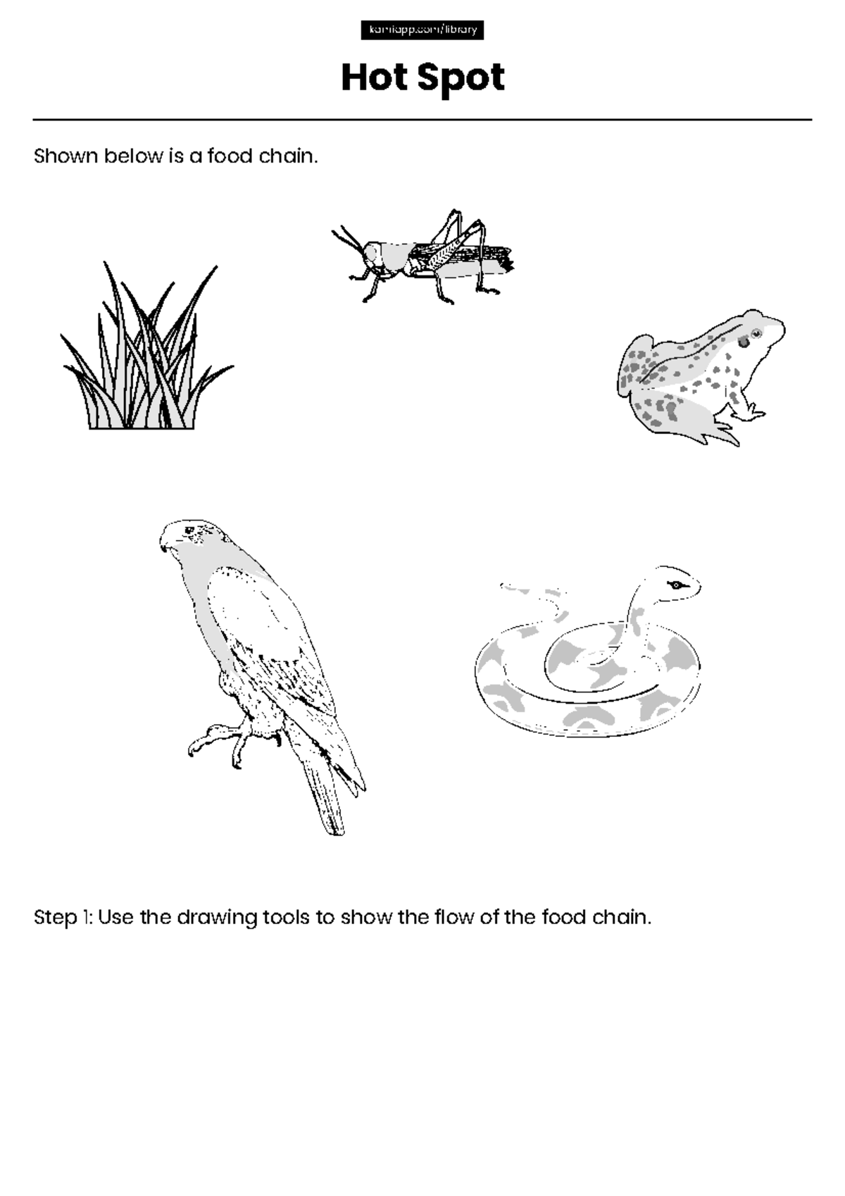 Texas Staar Practice Resource - Shown below is a food chain. Hot Spot ...