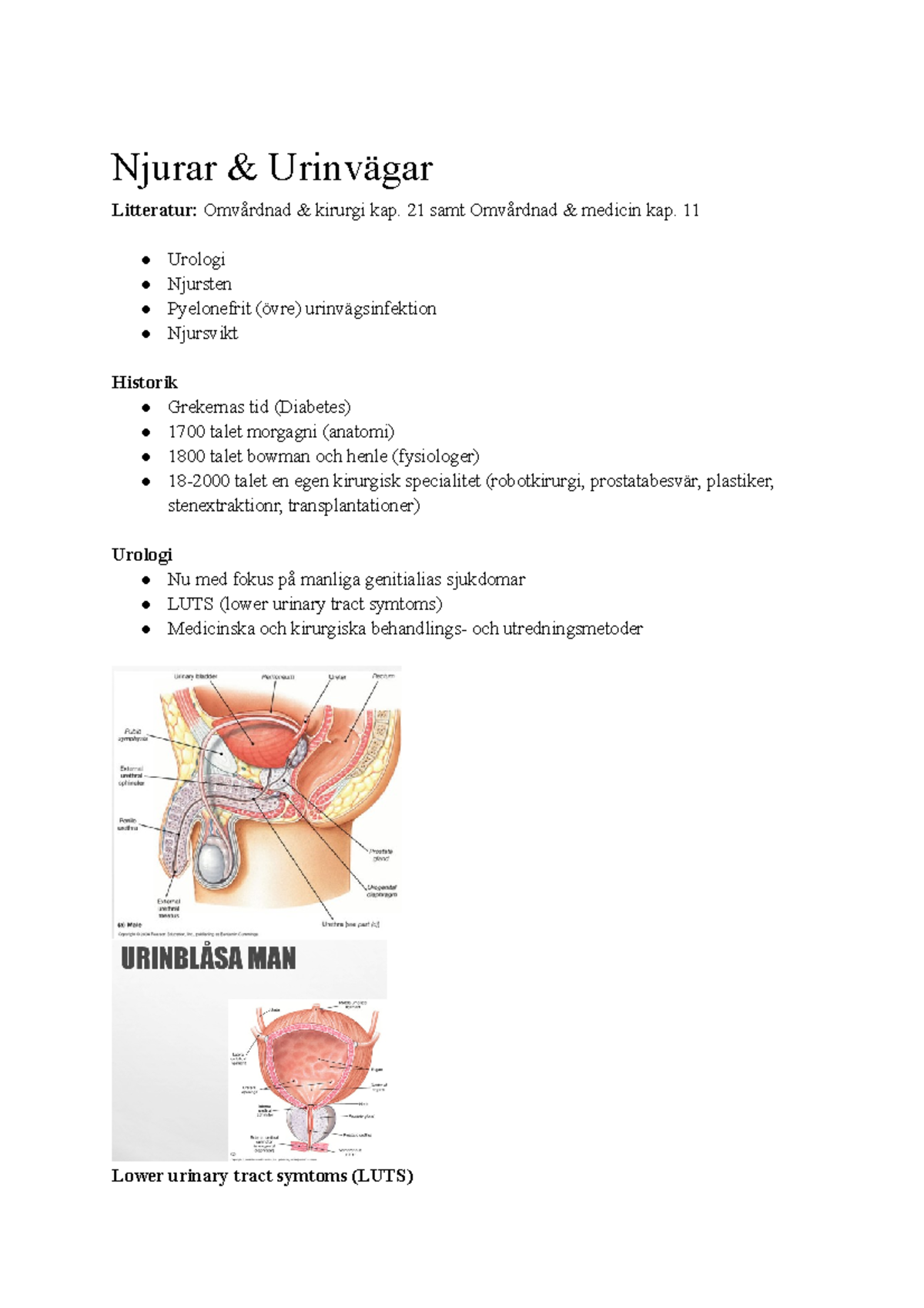 Njurar & Urinvägar - Förläsningsanteckningar - Njurar & Urinvägar Litteratur: Omvårdnad & - Studocu