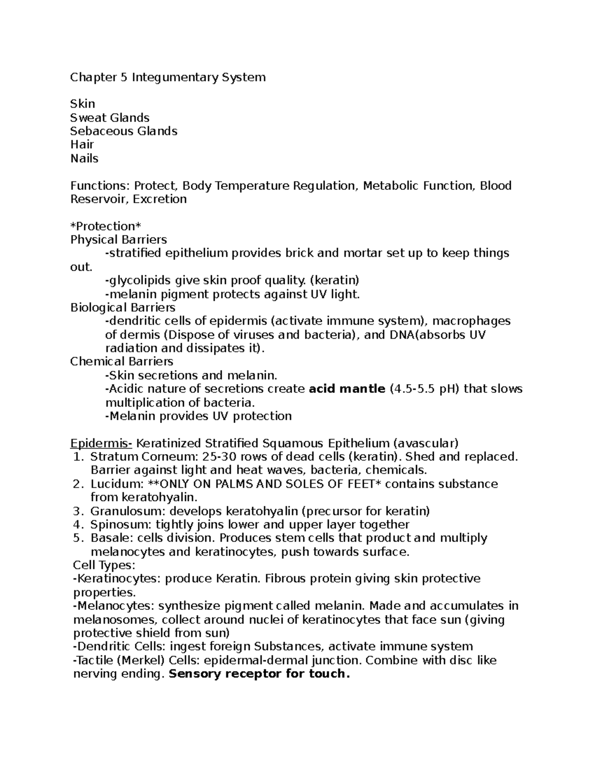Chapter 5 Integumentary System - Chapter 5 Integumentary System Skin ...
