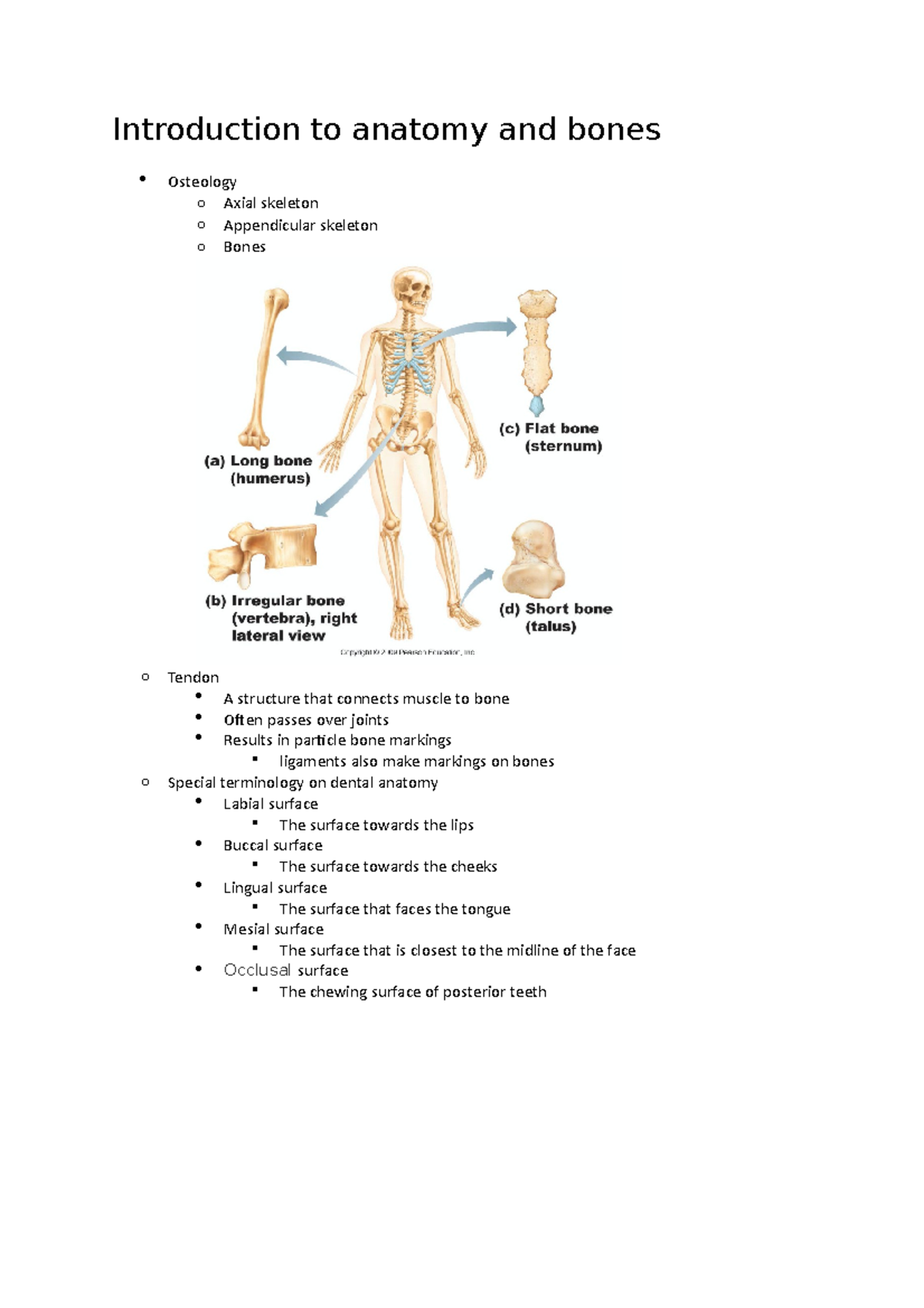 Introduction to anatomy and bones - collagen fibres o Bone acts as a ...