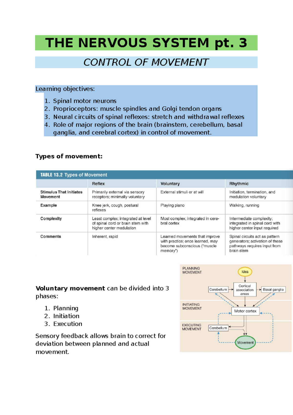 THE Nervous System pt 3 - notes - THE NERVOUS SYSTEM pt. 3 CONTROL OF ...