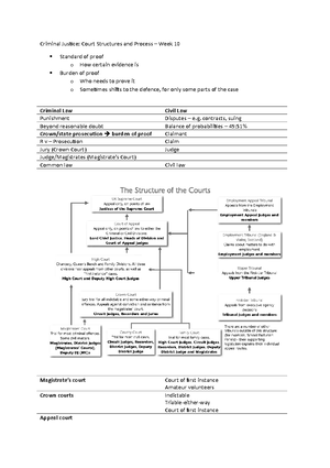 Criminal Justice Portfolio - Criminal Justice Portfolio Word count ...